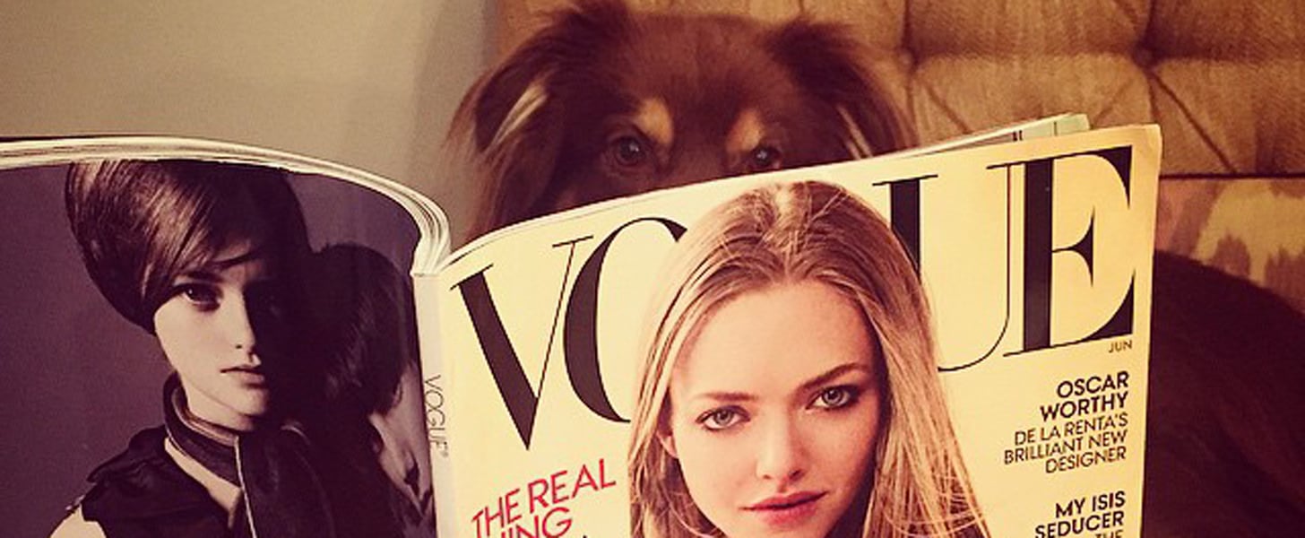 Amanda Seyfried's Dog Vogue Video | POPSUGAR Fashion