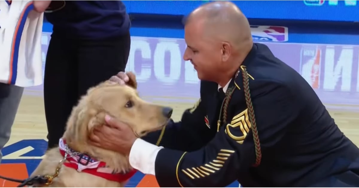 New York Knicks Give Service Dog to Army Veteran | POPSUGAR Pets