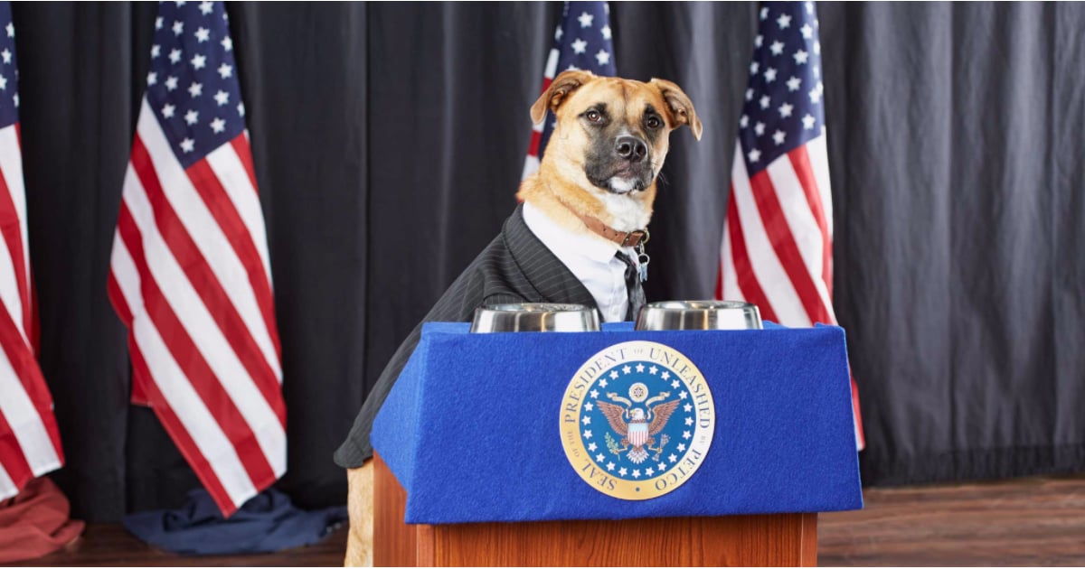 Presidential Puppy Podium From Petco | POPSUGAR Pets