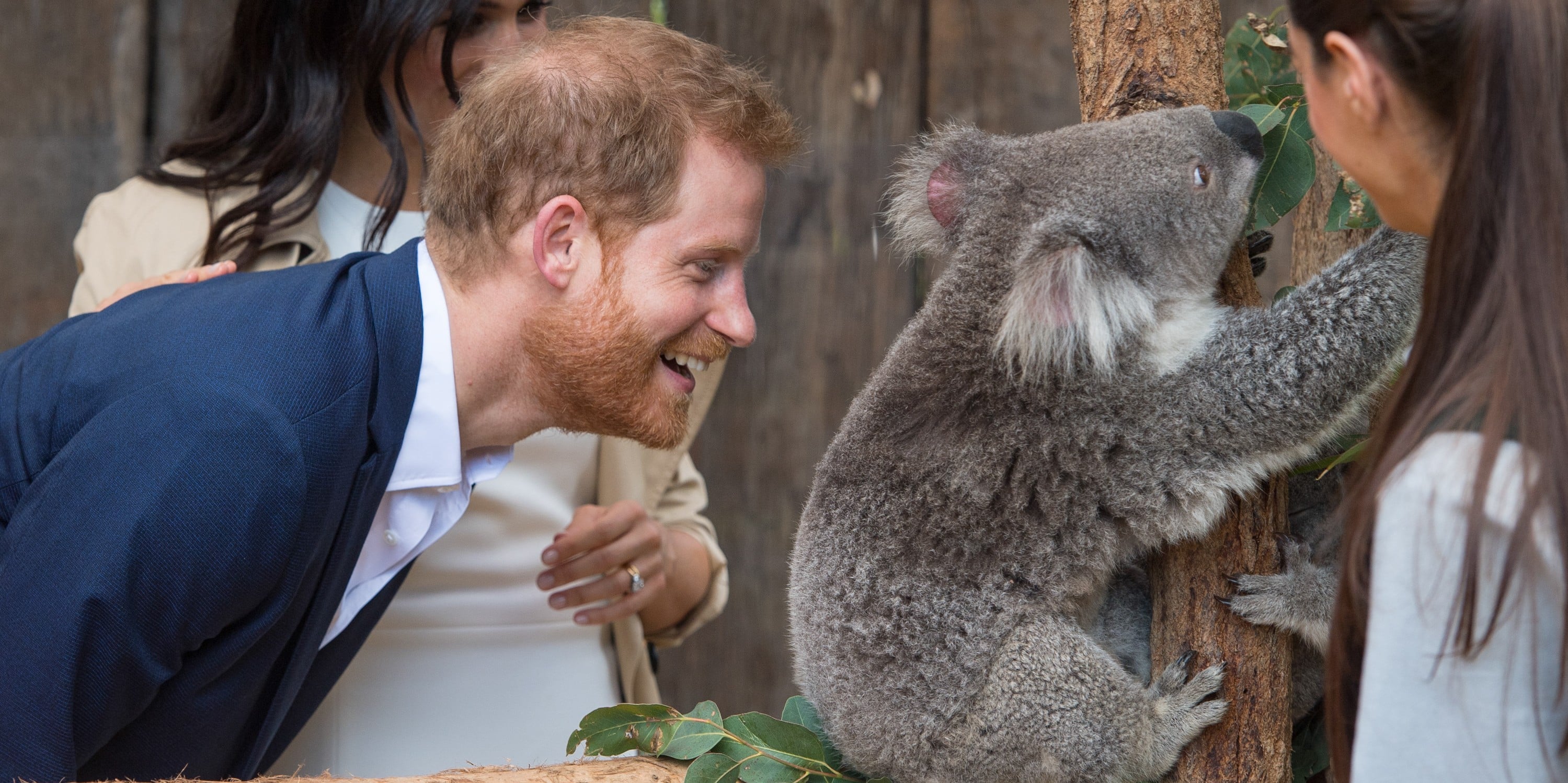 Prince Harry With Animals Pictures | POPSUGAR Celebrity