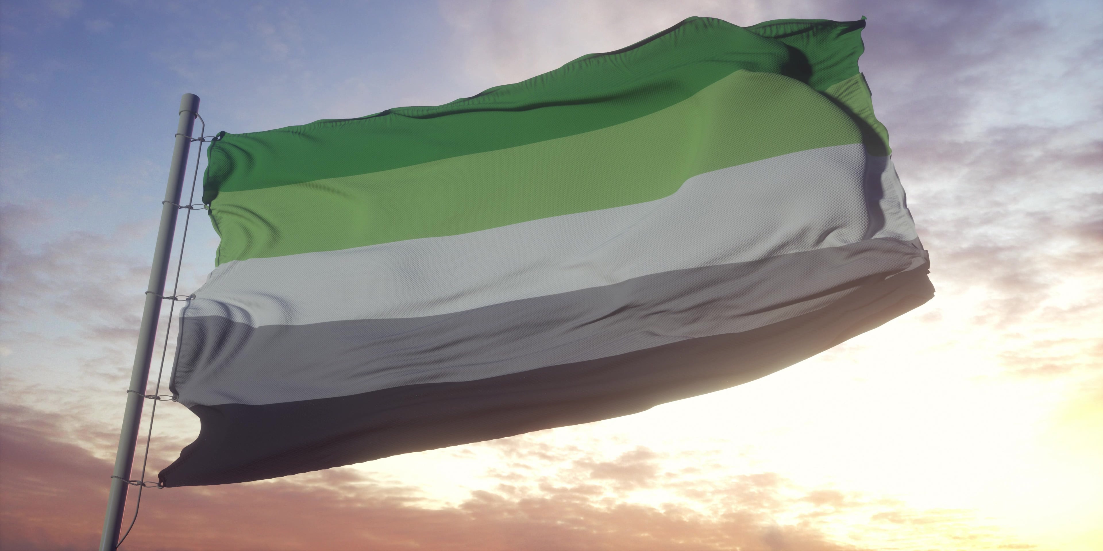 What Does Aromantic Mean? | PS Love