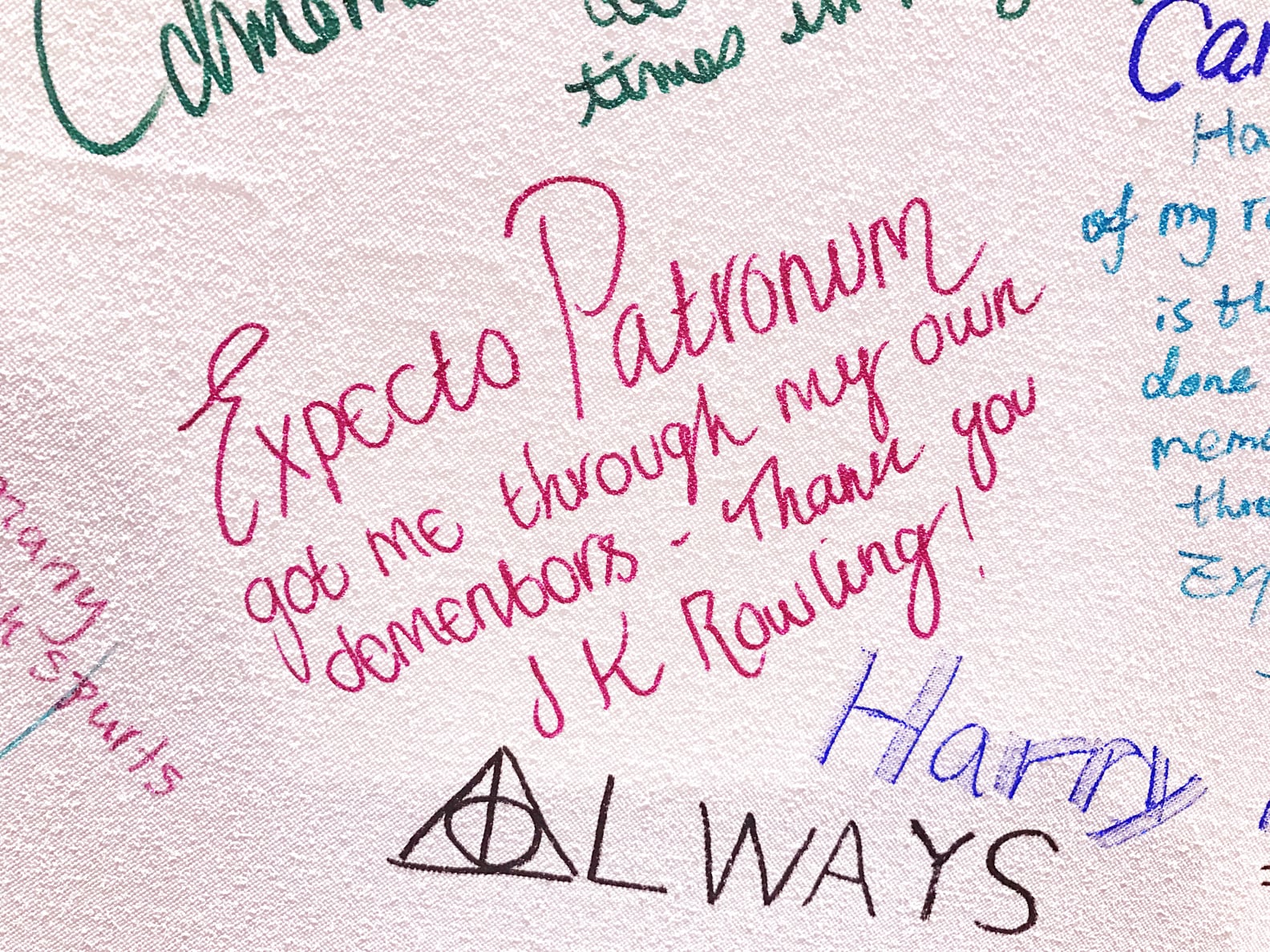 What Harry Potter Means to Fans | PS Love