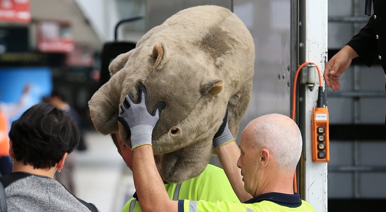 Prince George Stuffed Animals | PS Celebrity