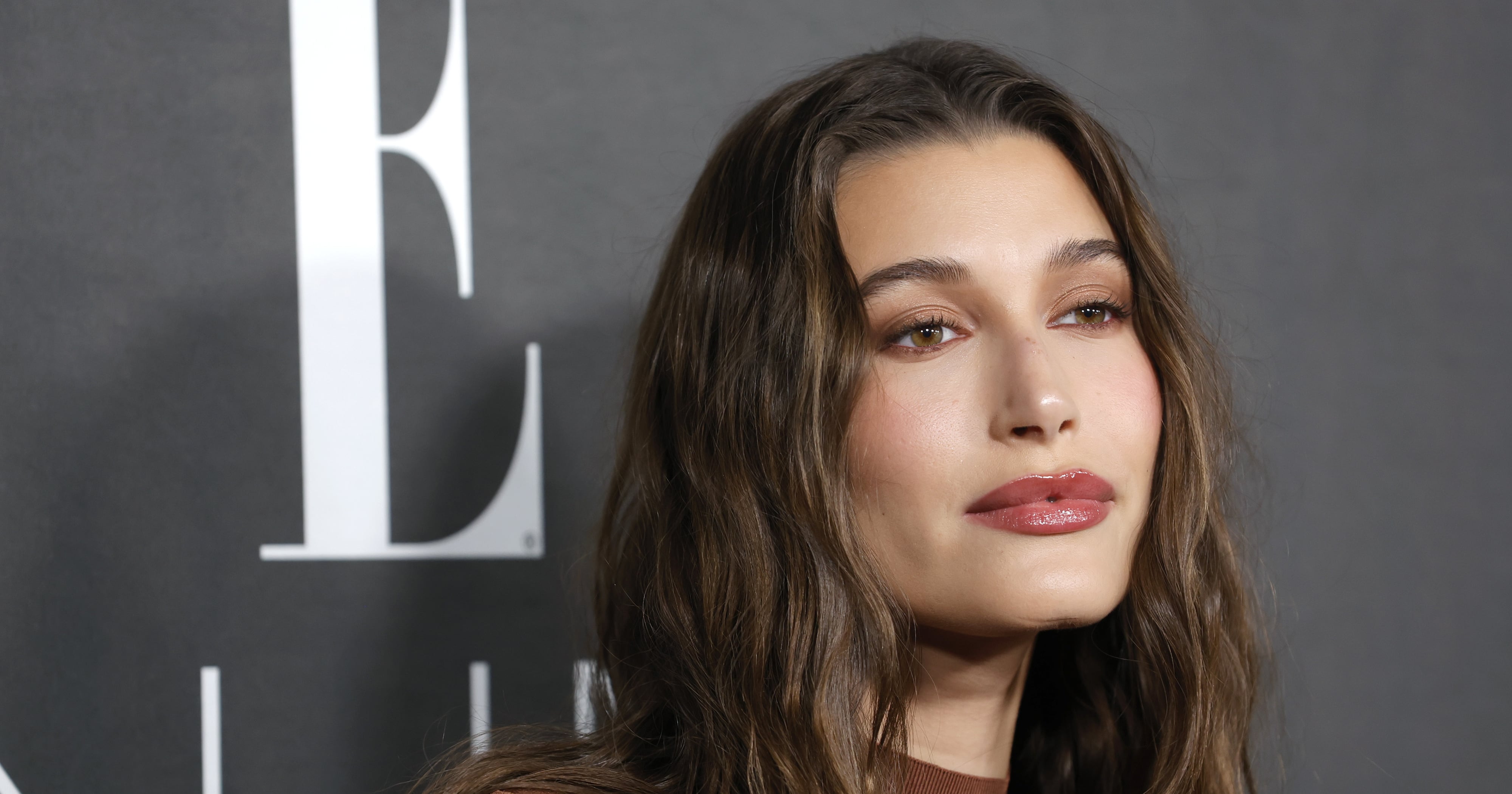 Hailey Bieber Poses in a Sheer Rosette Minidress on TikTok | PS Fashion