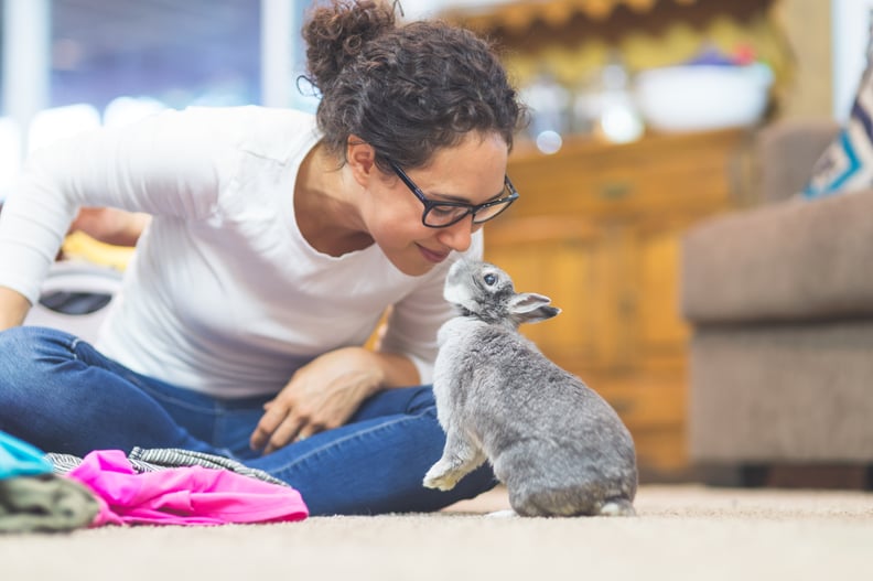 12 of the Best Pets for Busy College Students | POPSUGAR Pets