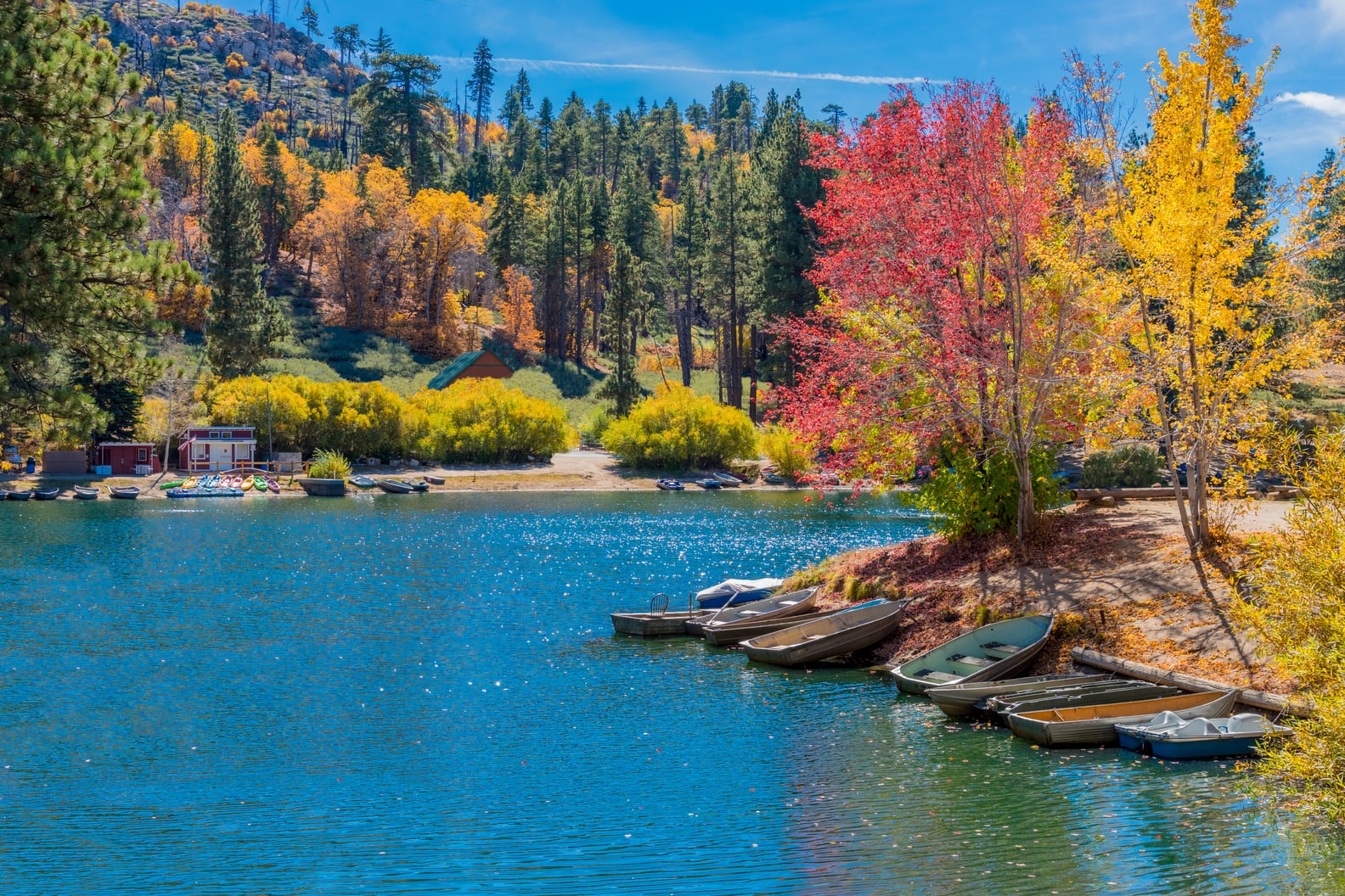 Pretty Pictures of Fall | PS Smart Living