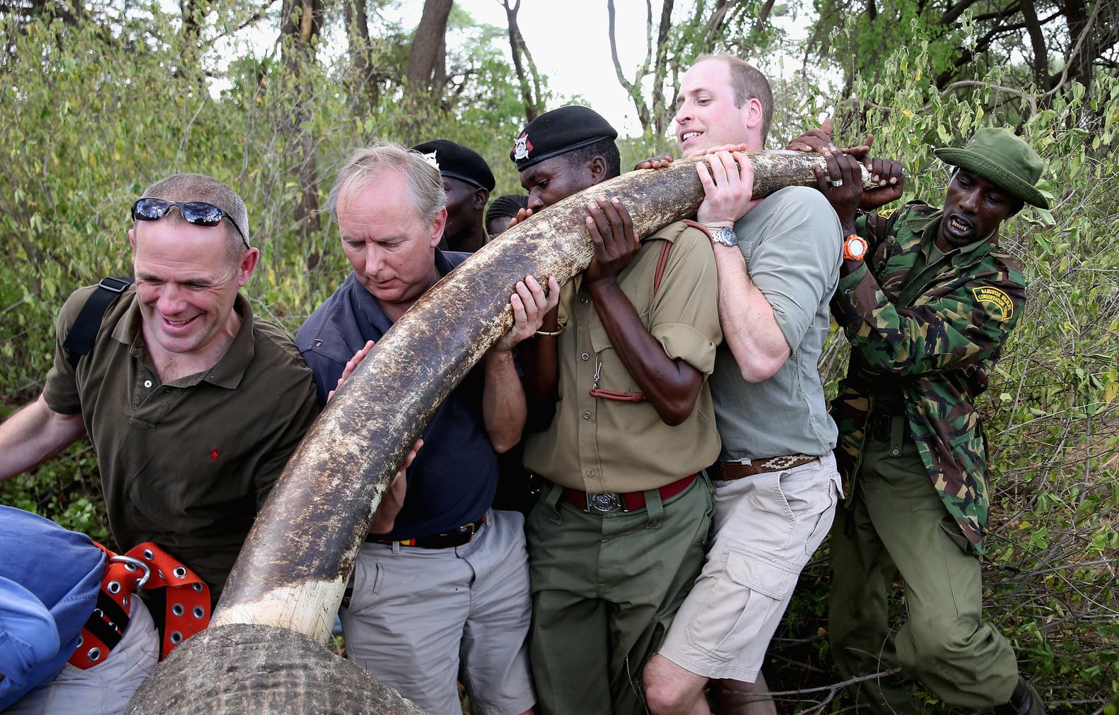 Prince William and Prince Harry's Charity Work | POPSUGAR Celebrity