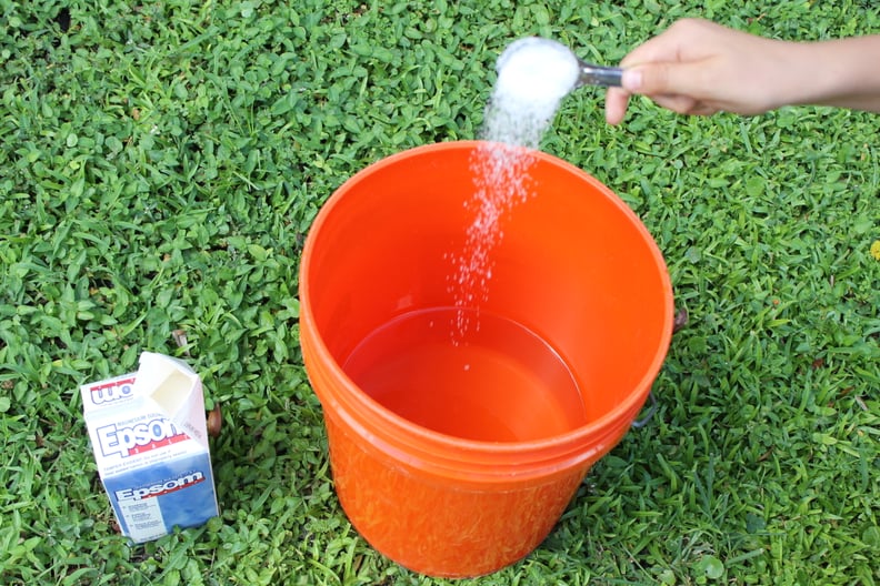 DIY Plant Fertilizer | POPSUGAR Home