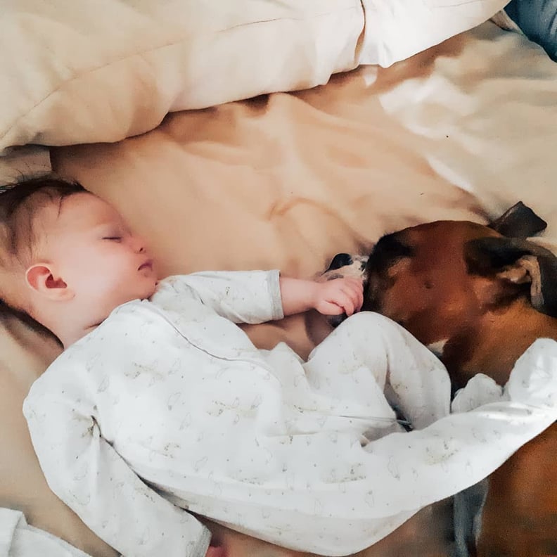 Cute Pictures of Dogs Napping With Kids and Babies | PS Family