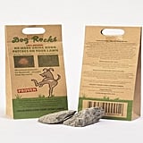 Best Summer Dog Products | POPSUGAR Family