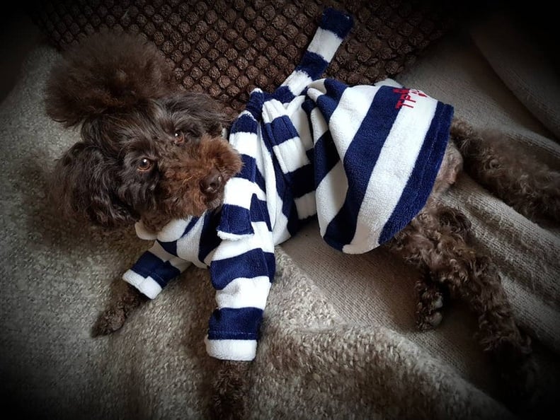 Matching Robes For Dogs and Humans on Etsy | POPSUGAR Pets