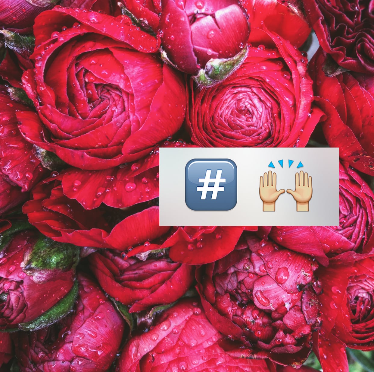 Instagram Hashtag Emoji | POPSUGAR Tech