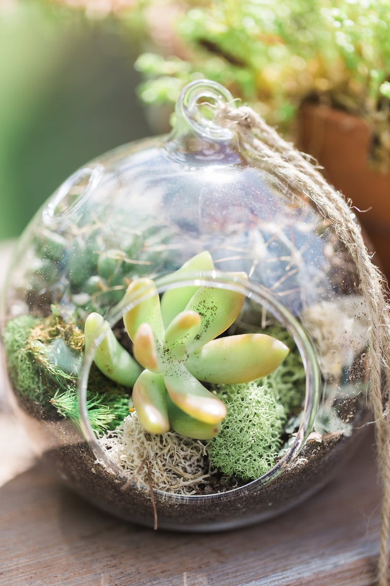 A Stylish DIY Terrarium Party | PS Home