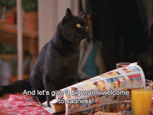 Sabrina, the Teenage Witch Salem GIFs | PS Entertainment