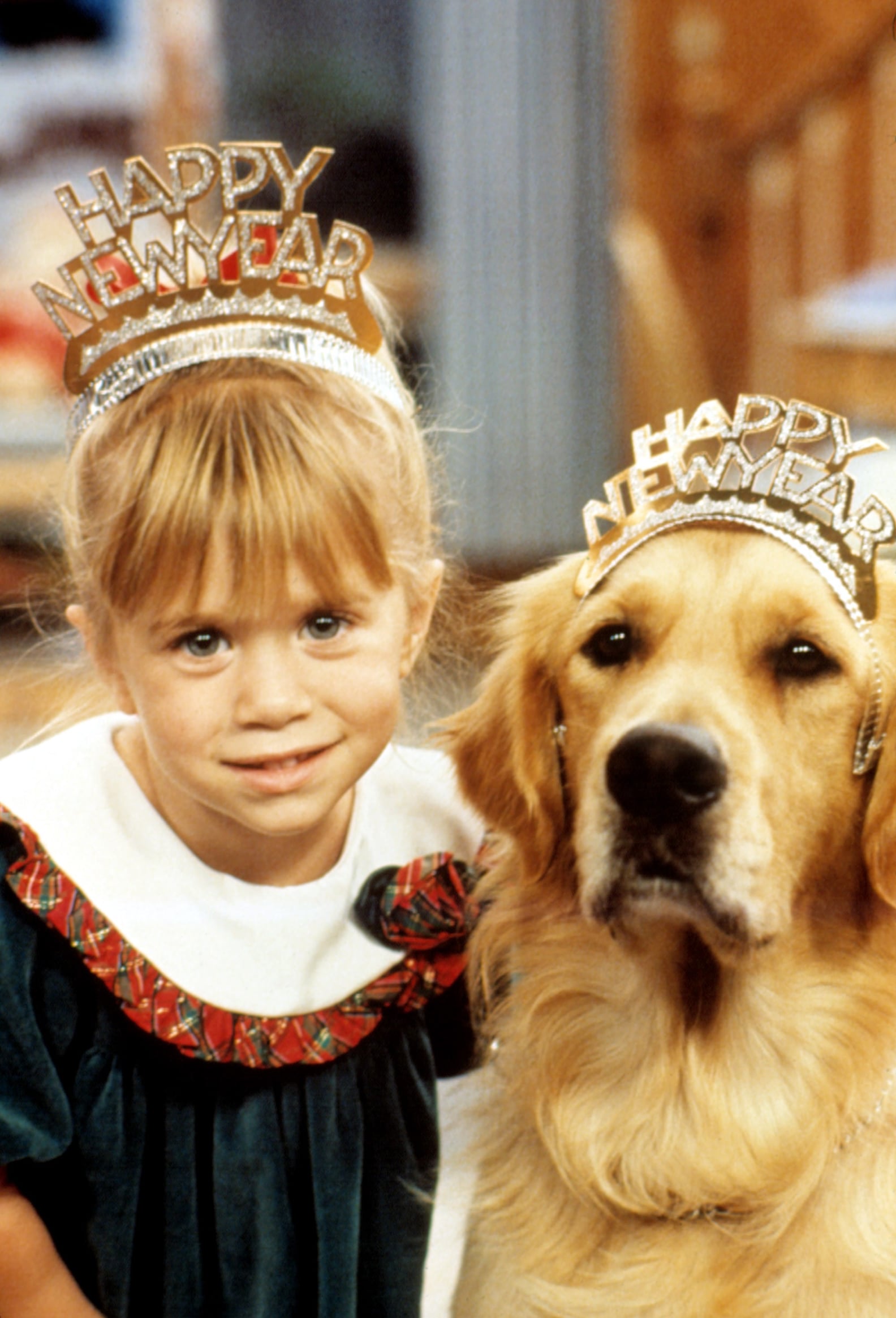 Comet the Dog in Fuller House | PS Pets