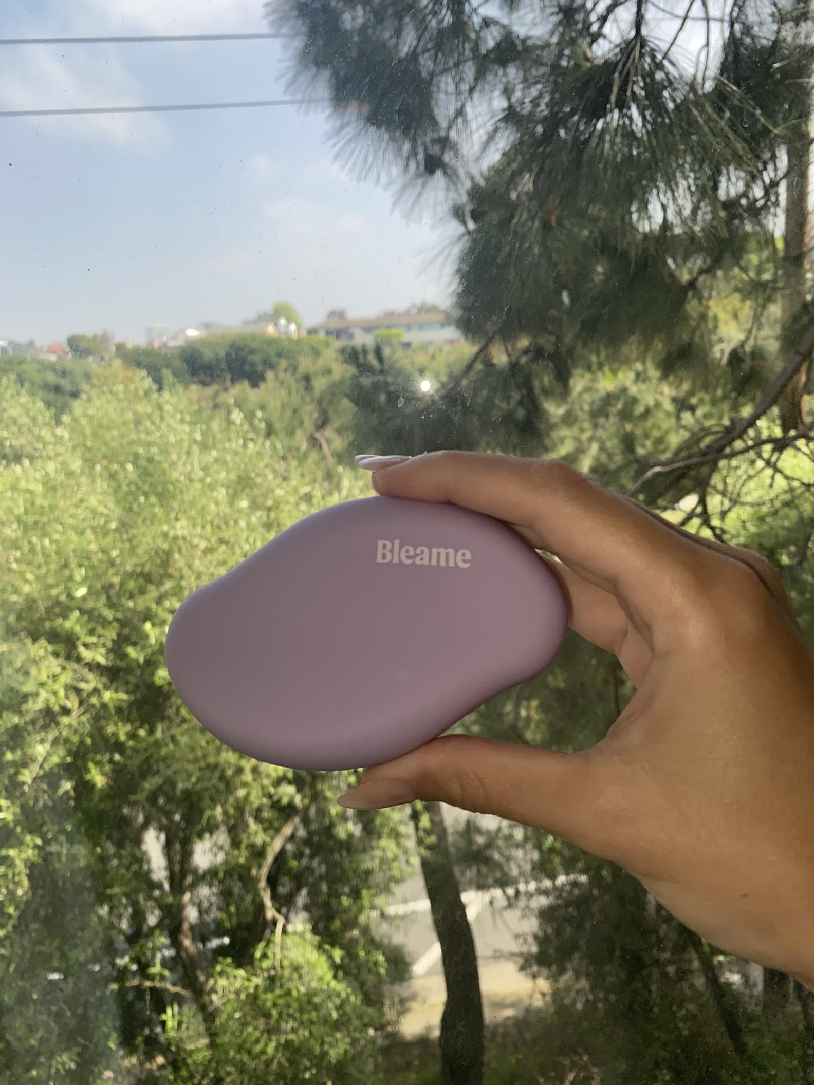 Bleame Crystal Hair Eraser Review With Photos | PS Beauty