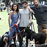 Daniel Radcliffe With Dogs on the Set of Trainwreck | POPSUGAR Celebrity