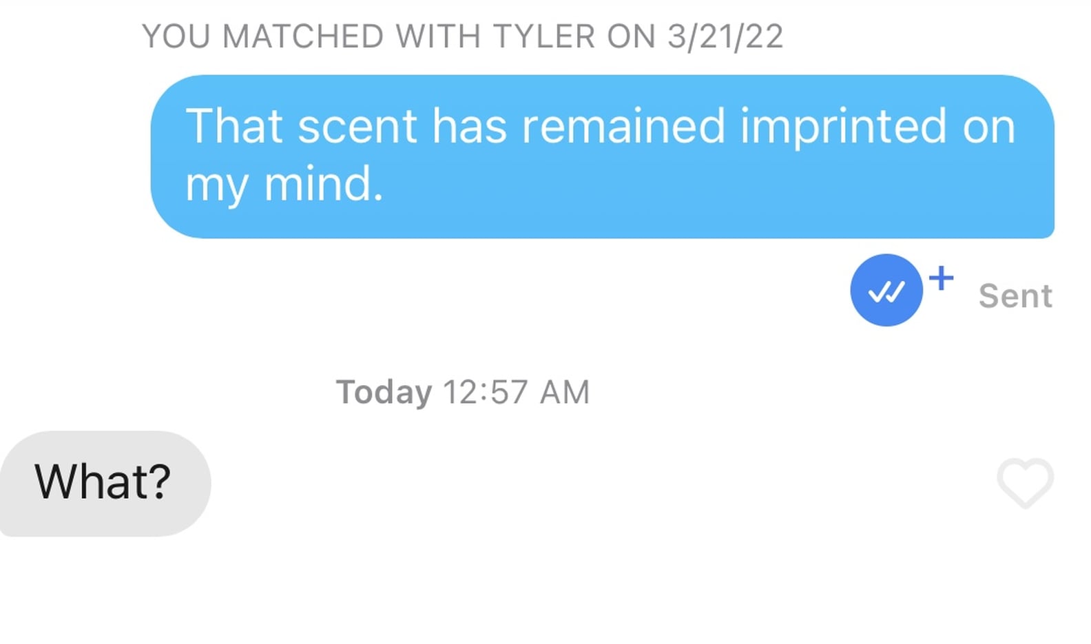 I Used Sexy Bridgerton Quotes and Pickup Lines on Tinder | PS Love