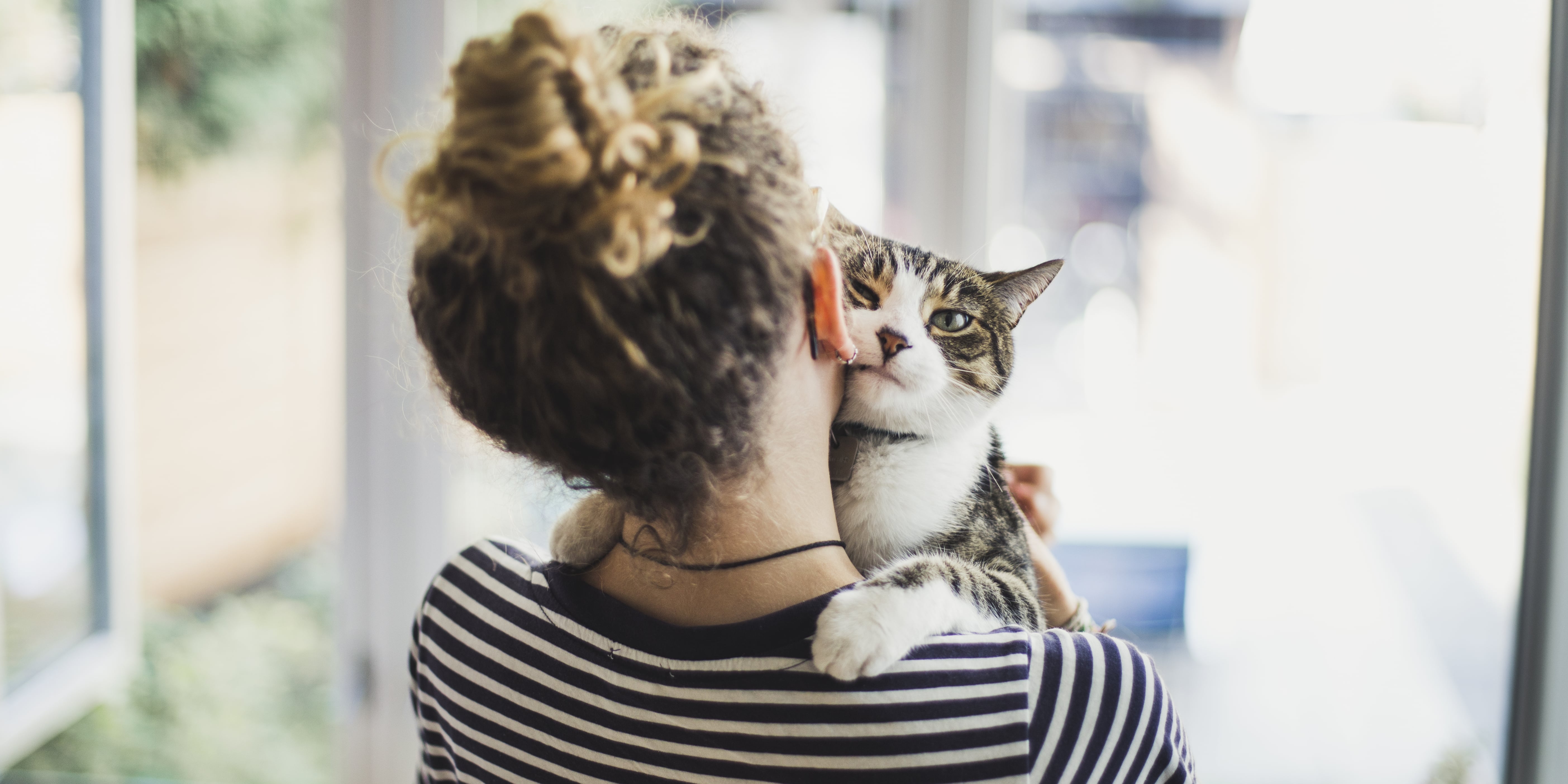 What It's Like to Put a Pet to Sleep | POPSUGAR Pets