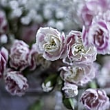 What Are Birth Flowers? | POPSUGAR Home