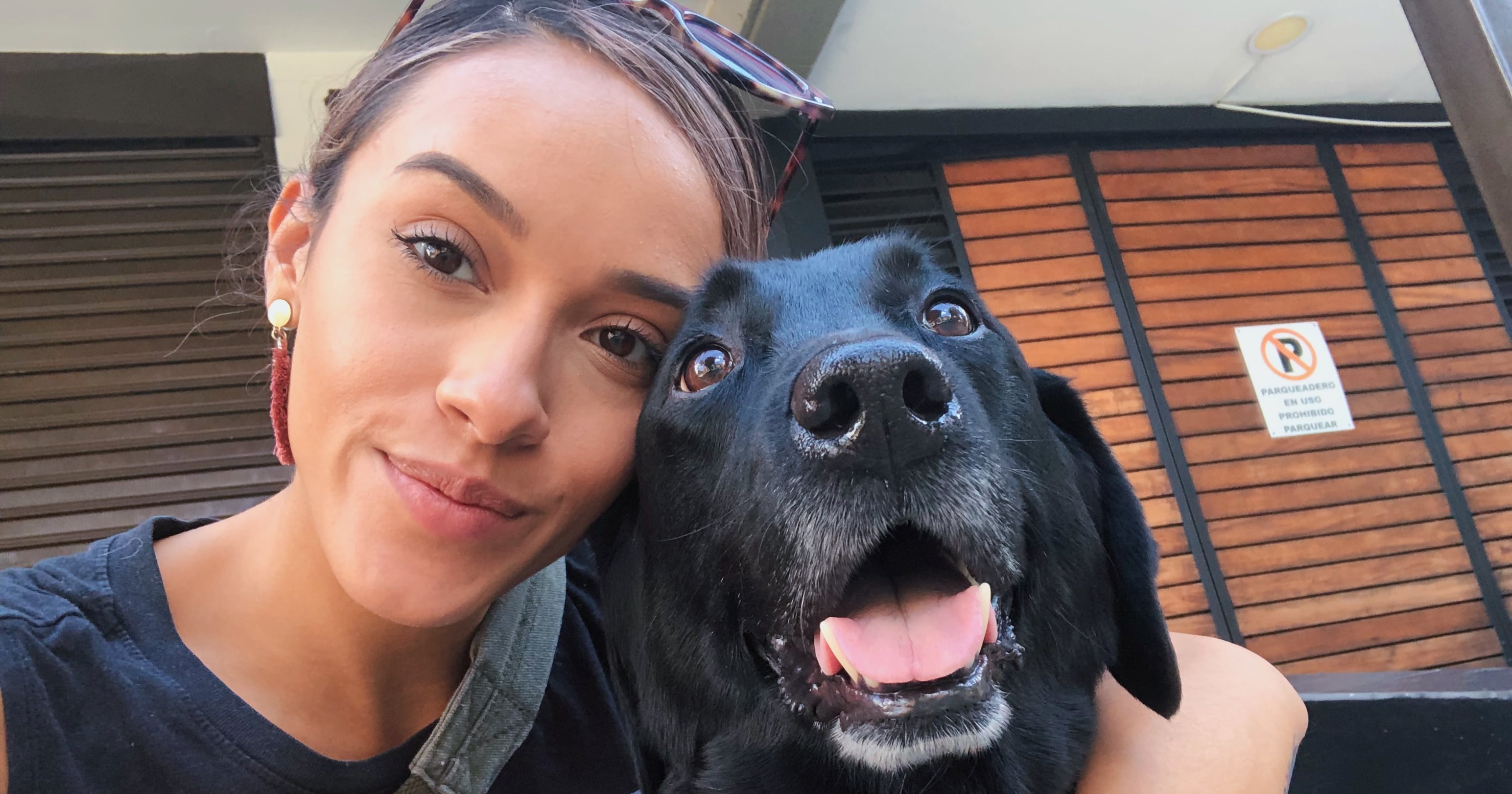 I Adopted a Senior Dog With a Week to Live | PS Pets