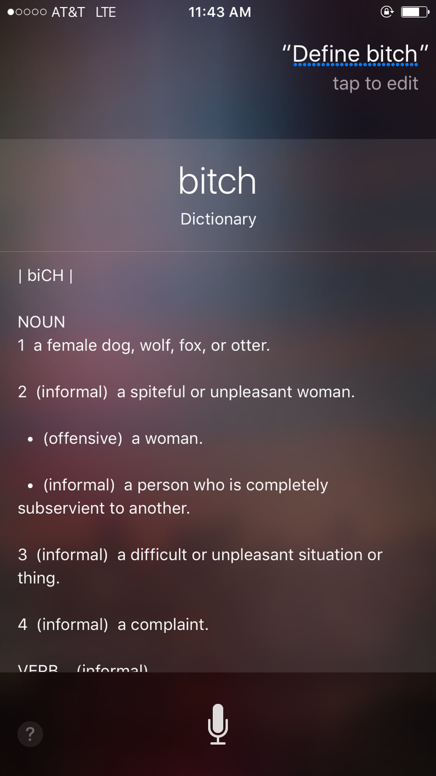 How Siri Defines the Word Bitch | PS Tech