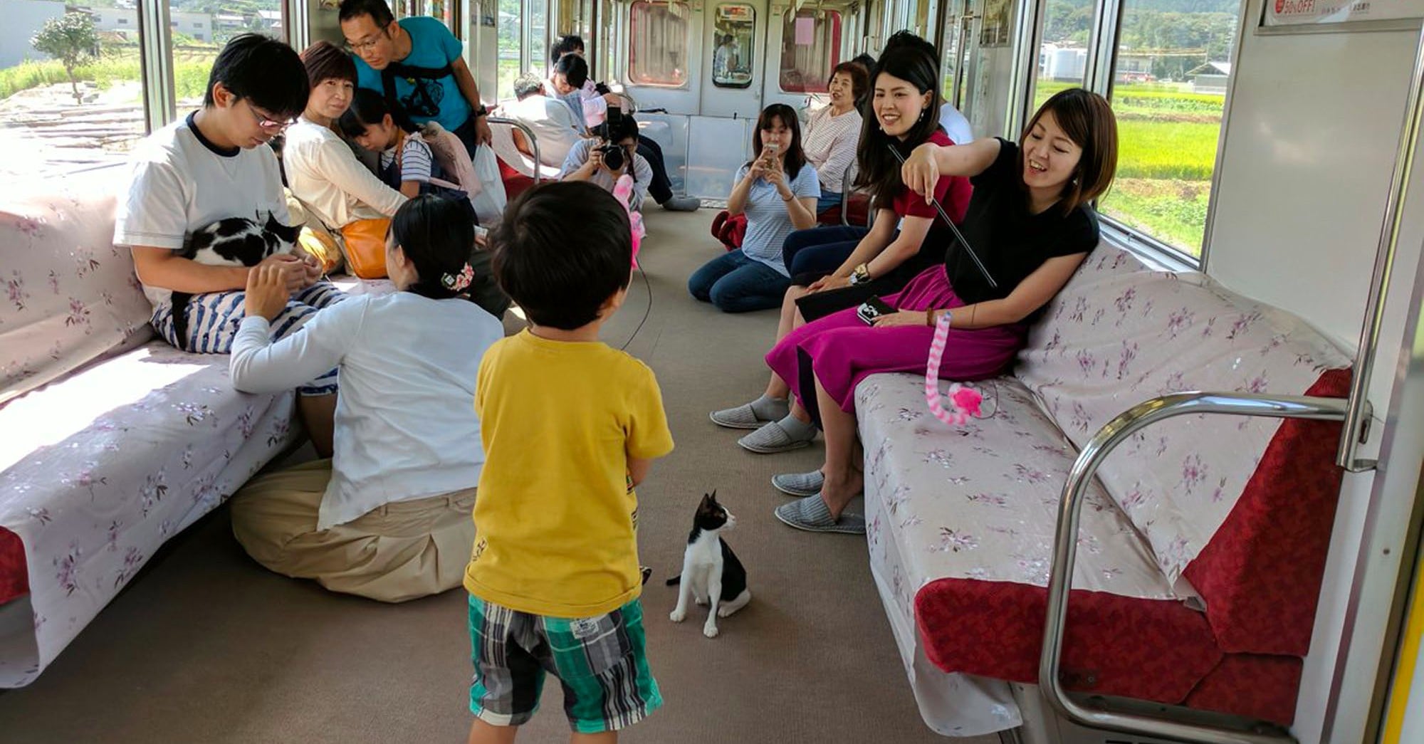 Cat Cafe Train in Japan | POPSUGAR Smart Living