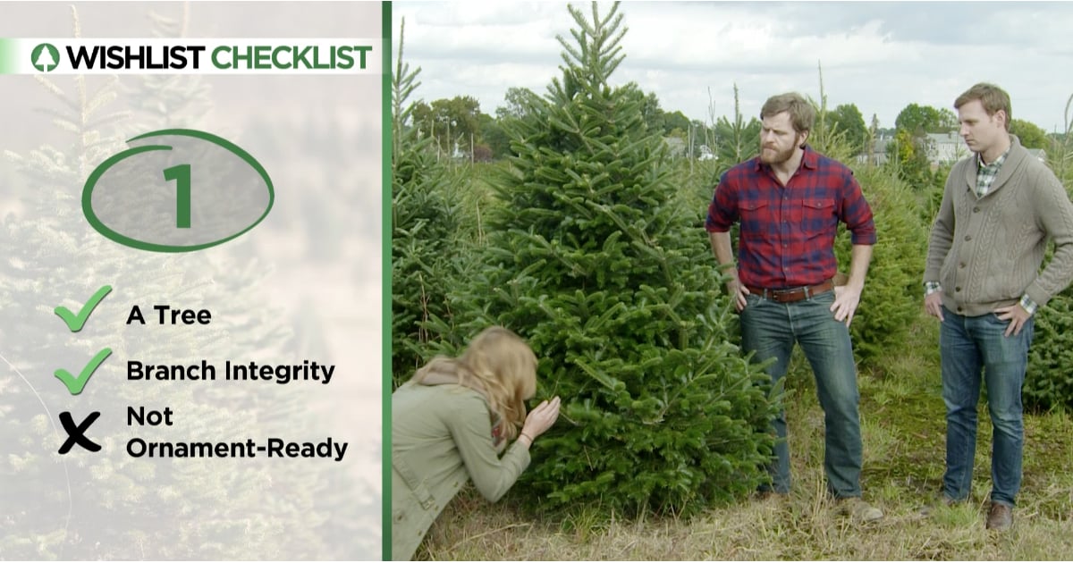 HGTV Holiday Tree Hunters Video | POPSUGAR Home