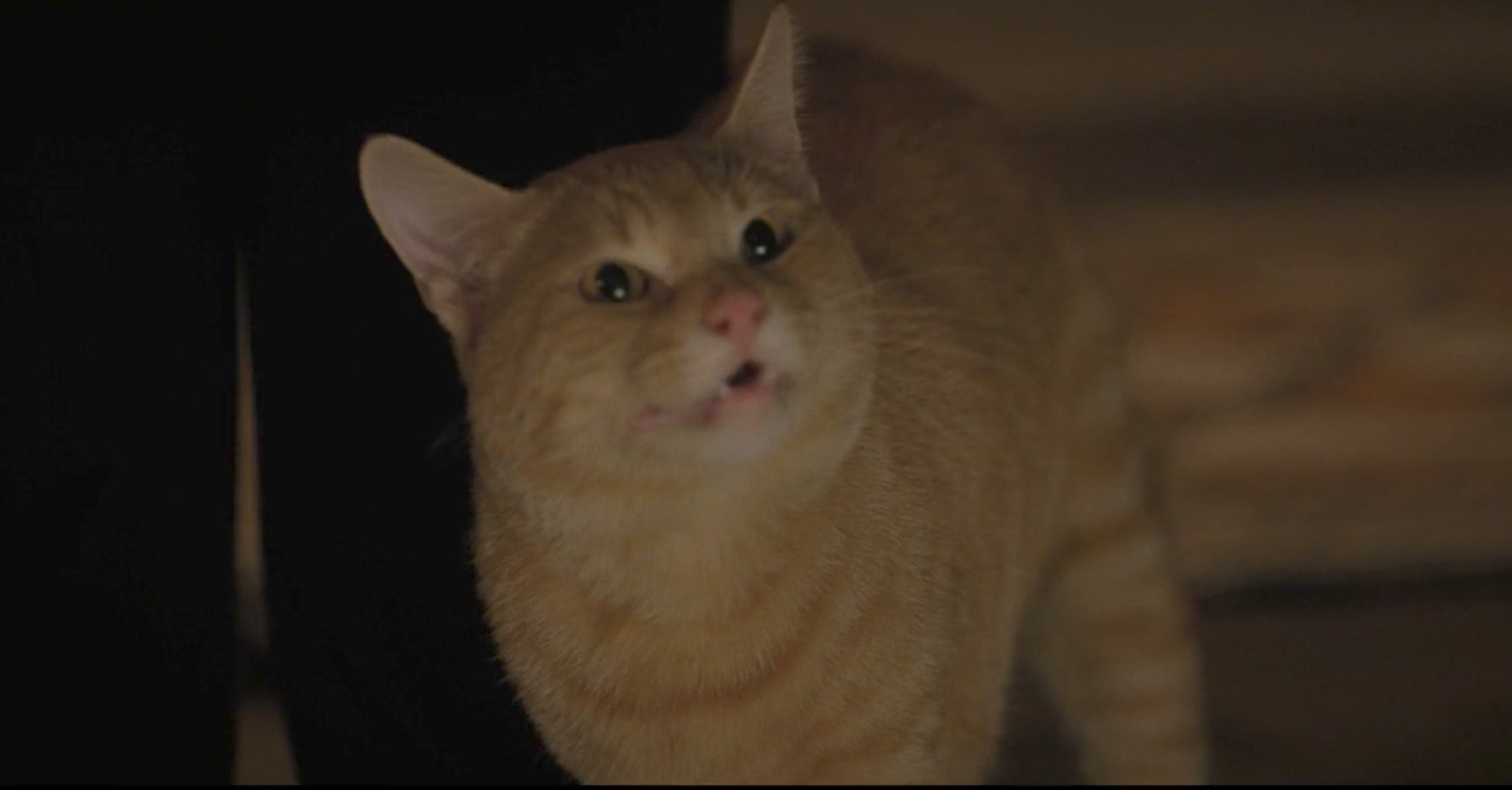 Reactions to Dustin's Cat Dying on Stranger Things | PS Entertainment