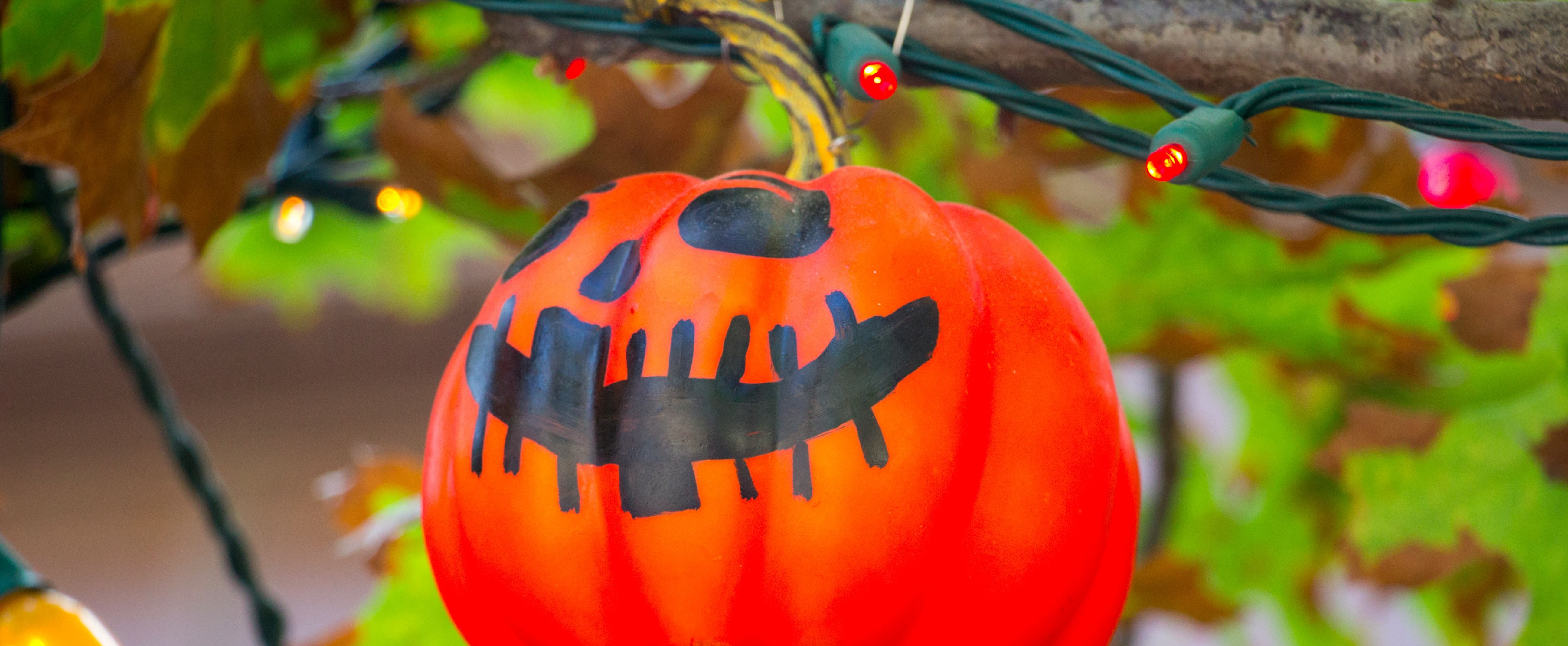 Halloween Tree at Disneyland | PS Smart Living