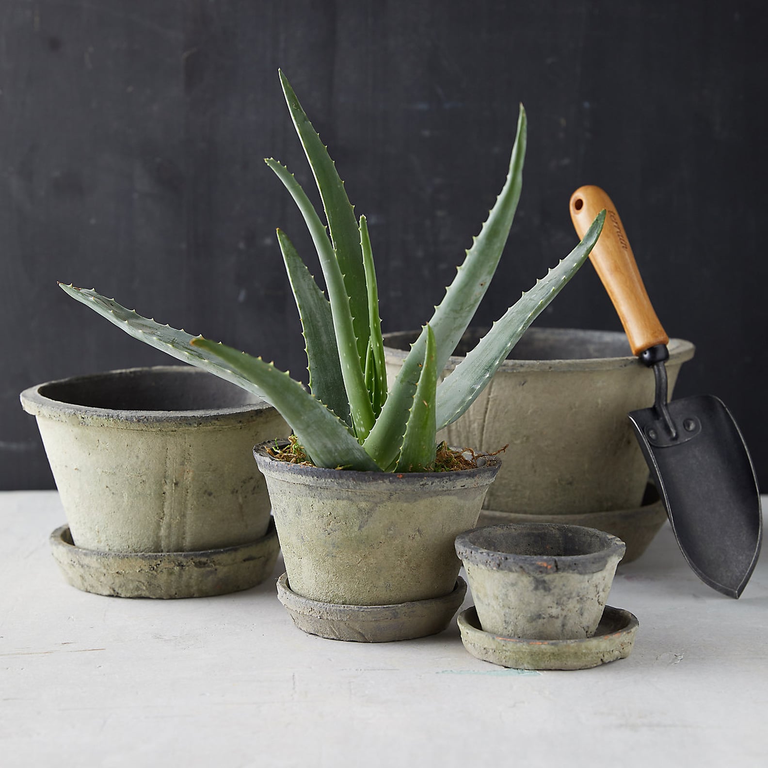 Best Outdoor Planters From Terrain | PS Home