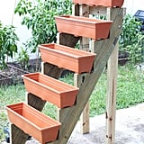 Small-Space Gardening DIYs | POPSUGAR Home