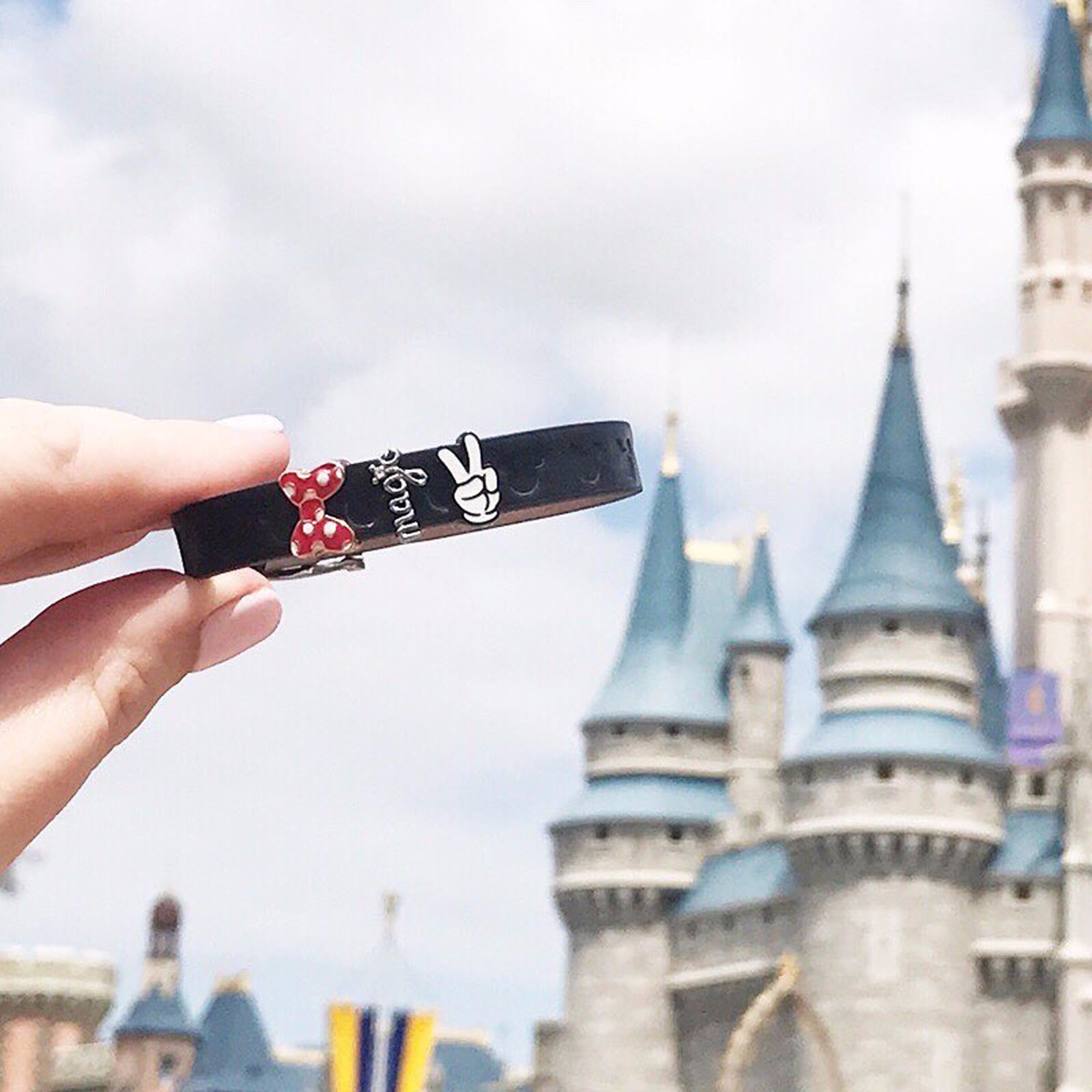 Disney Charm Bracelets | PS Family
