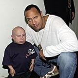 Dwayne Johnson Eyebrow Raise GIFs and Pictures | POPSUGAR Celebrity
