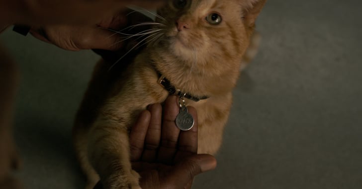 What Is a Flerken in Captain Marvel? | POPSUGAR Entertainment