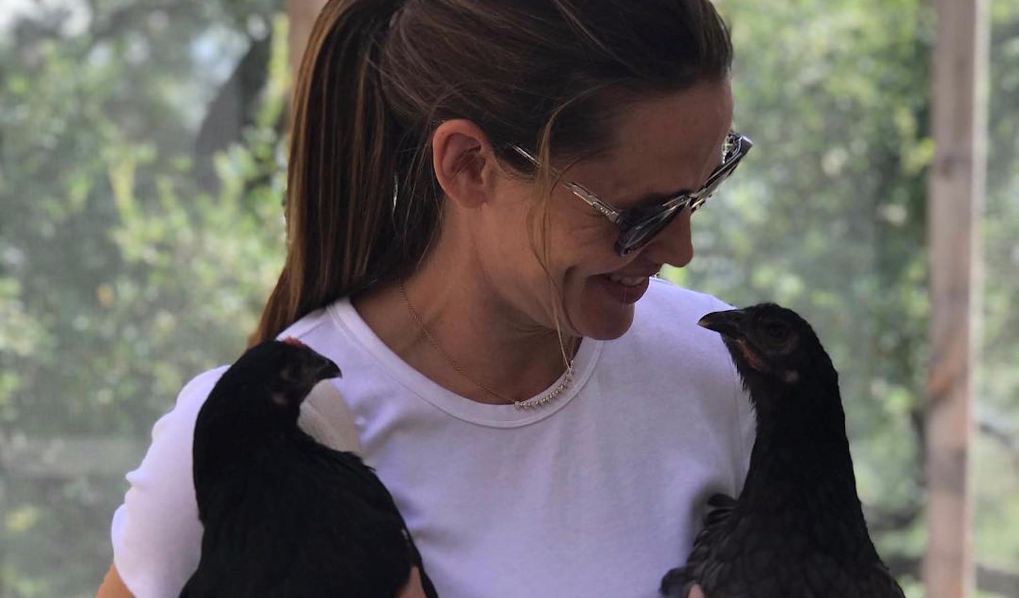 Jennifer Garner With Her Pet Chicken Pictures | PS Celebrity