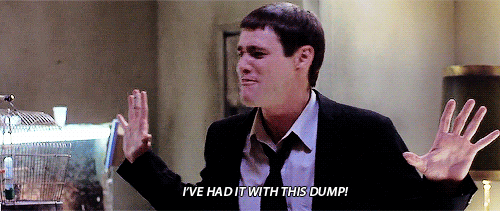 Dumb and Dumber GIFs | PS Entertainment