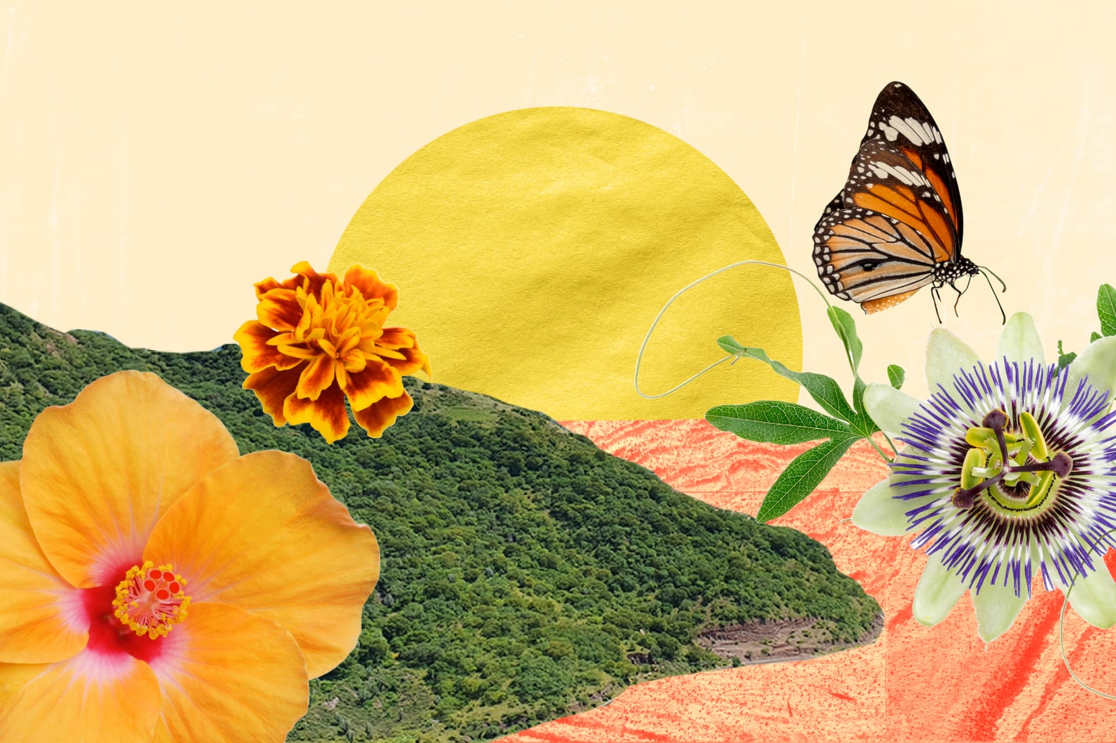 Introducing De la Editora, Your New Latine Newsletter | PS Identity