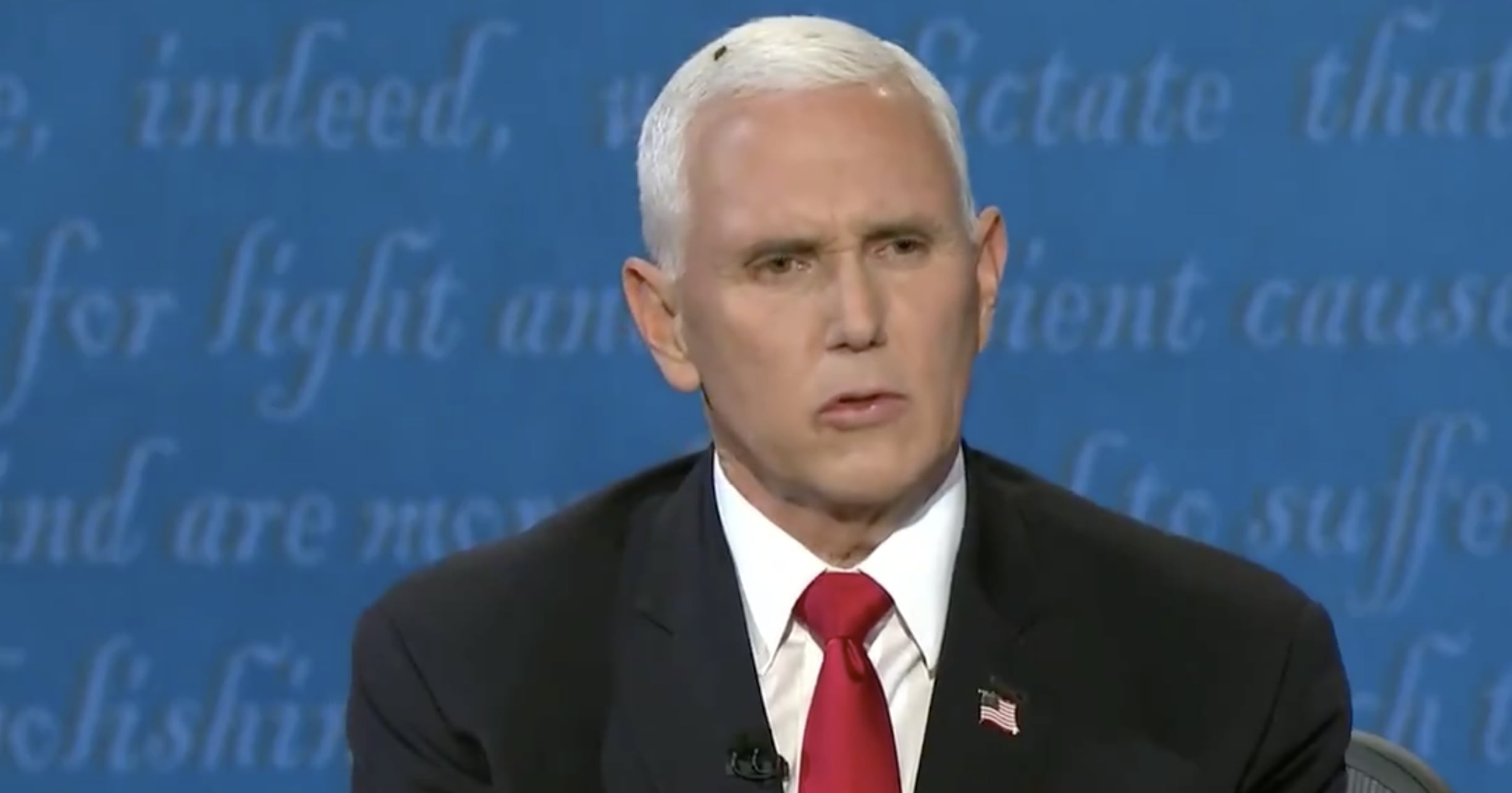 Fly Lands on Mike Pence's Head Vice Presidential Debate | PS News