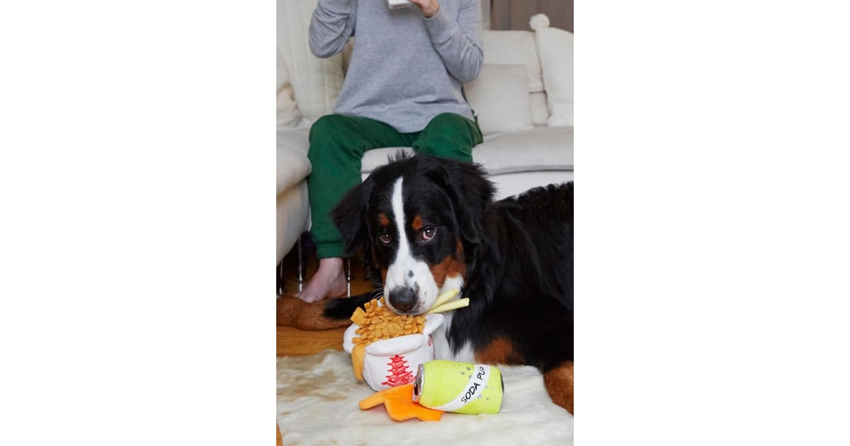 Bark Chow Chow Mein Dog Toy | Best Pet Toys at Urban Outfitters ...