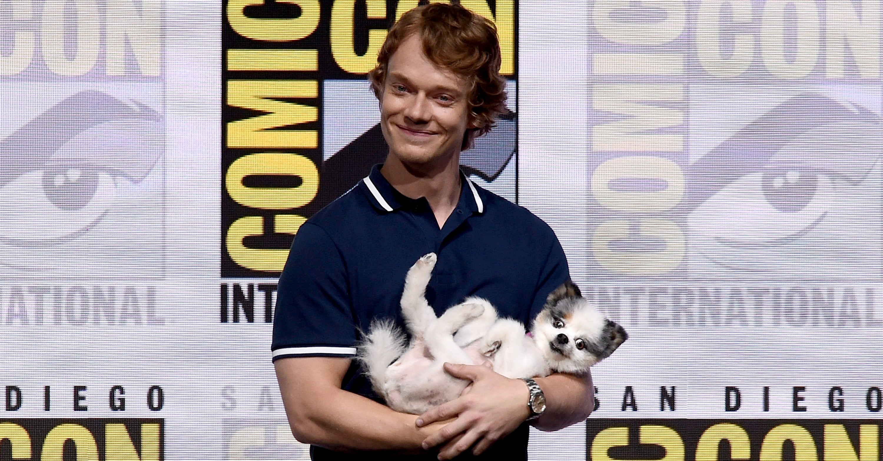 Alfie Allen Brings Dog to Comic-Con | PS Entertainment
