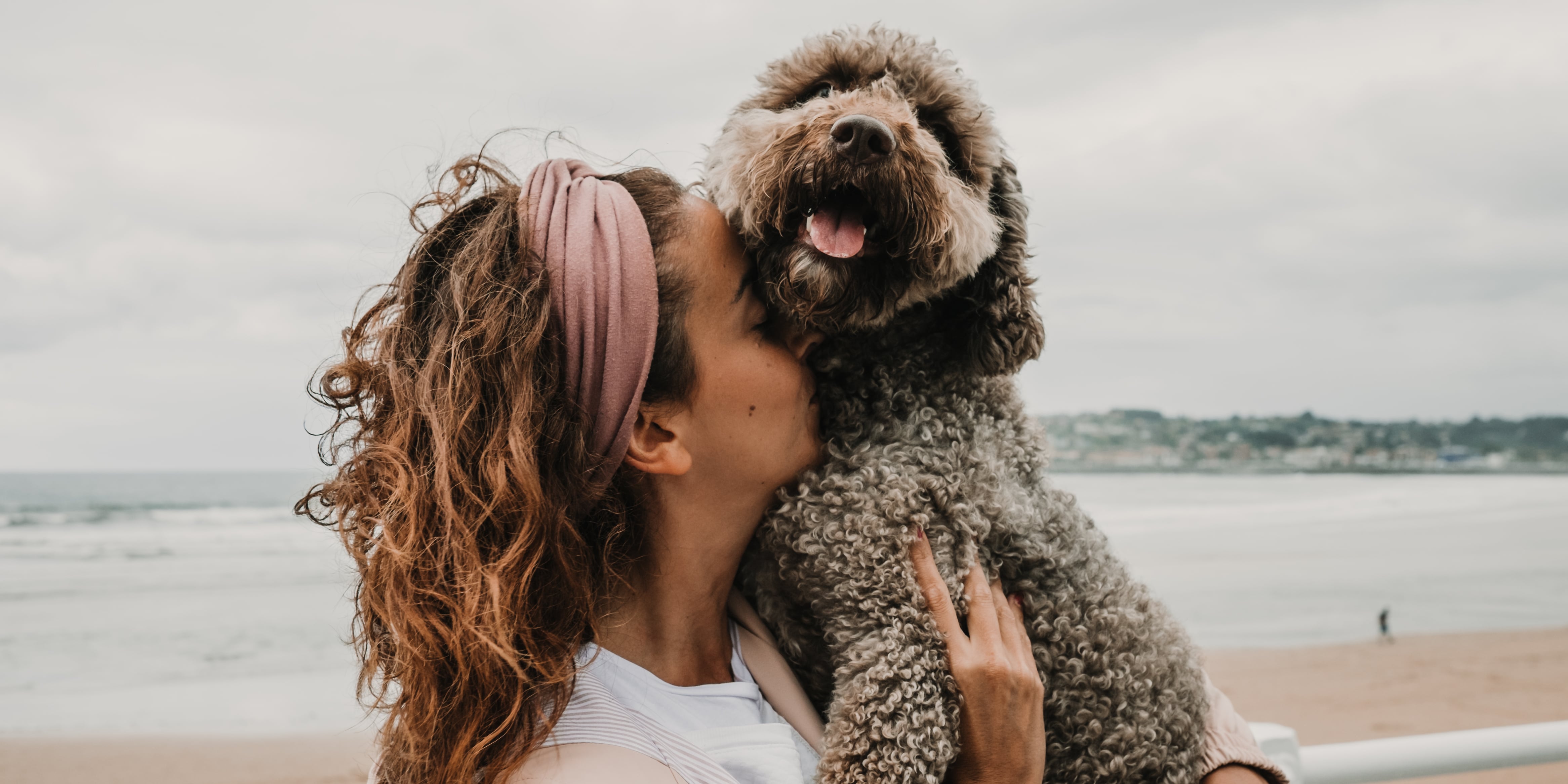 Dr. Evan Antin On Why Pet Wellness Matters | PS Pets