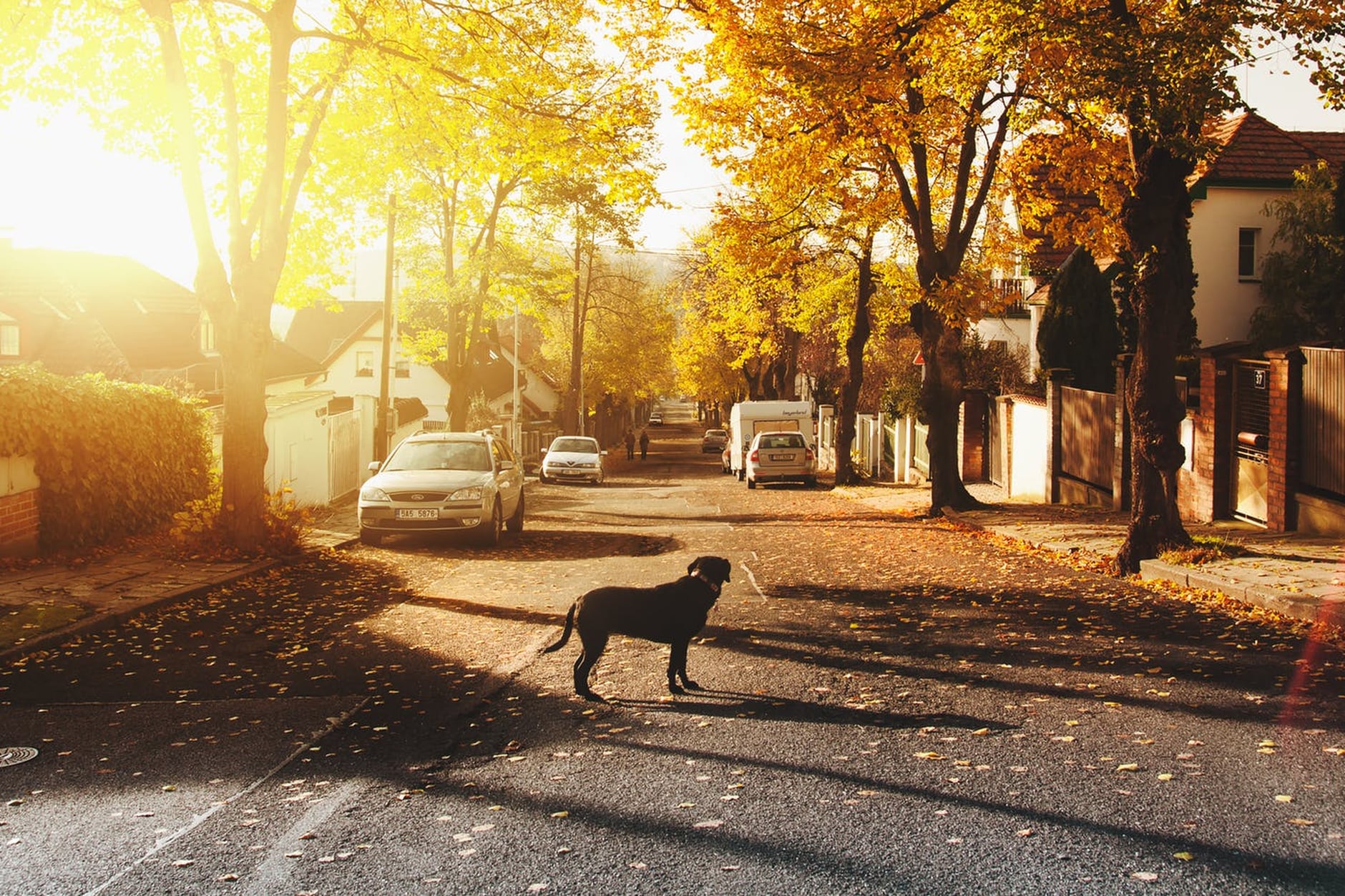 What It's Like Growing Up in a Small Town | POPSUGAR Smart Living