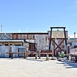 Joshua Tree Travel Tips | POPSUGAR Smart Living