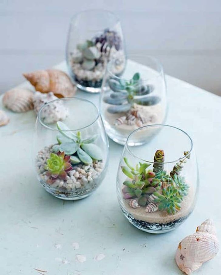 Wine Glass Terrariums | POPSUGAR Home
