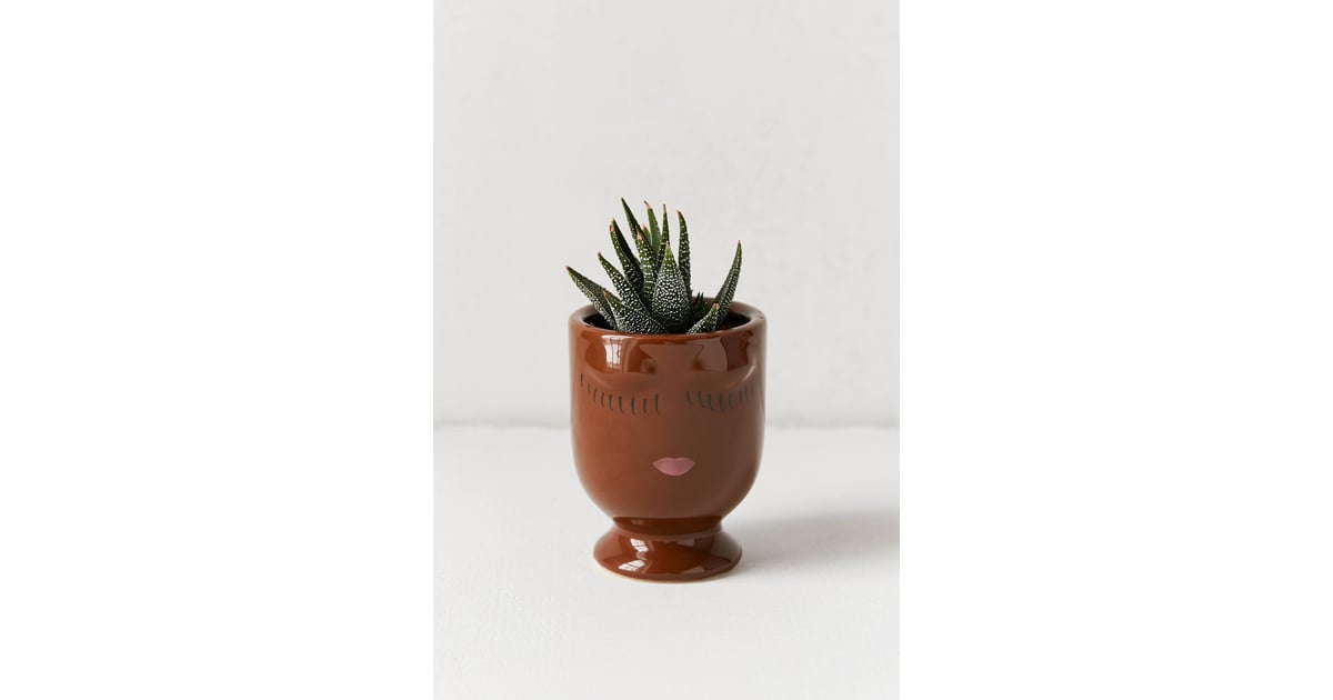 Celfie Planter | Best Products For Women Spring 2019 | POPSUGAR Photo 59