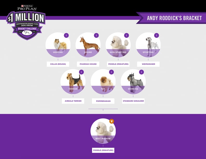 Westminster Dog Show Bracket Challenge 2017 | PS Pets
