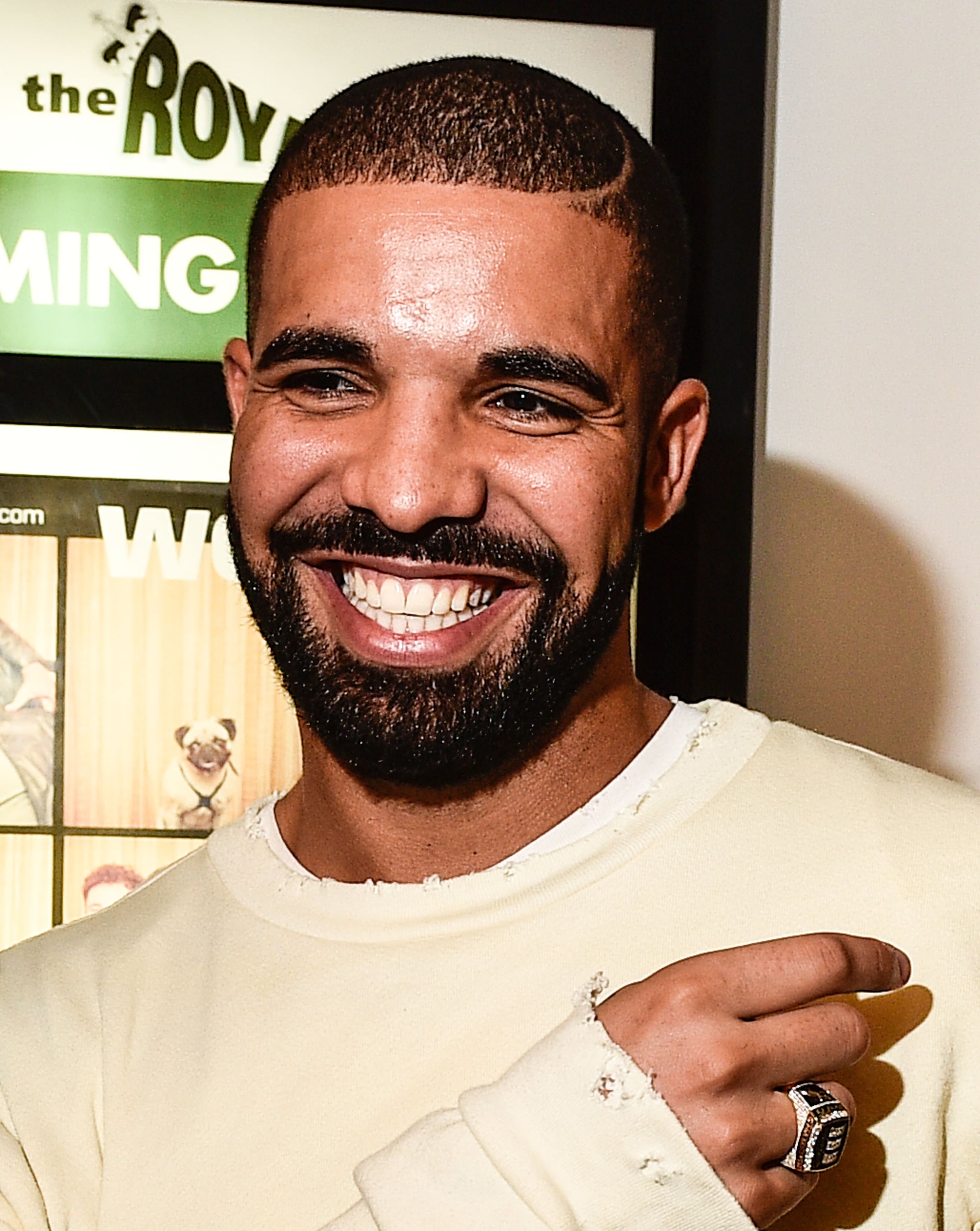 Drake Without Teeth
