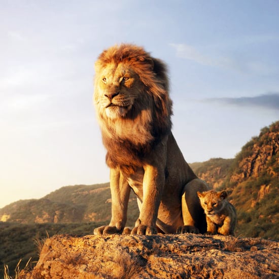 How Is the New Lion King Different From the Original? | POPSUGAR ...
