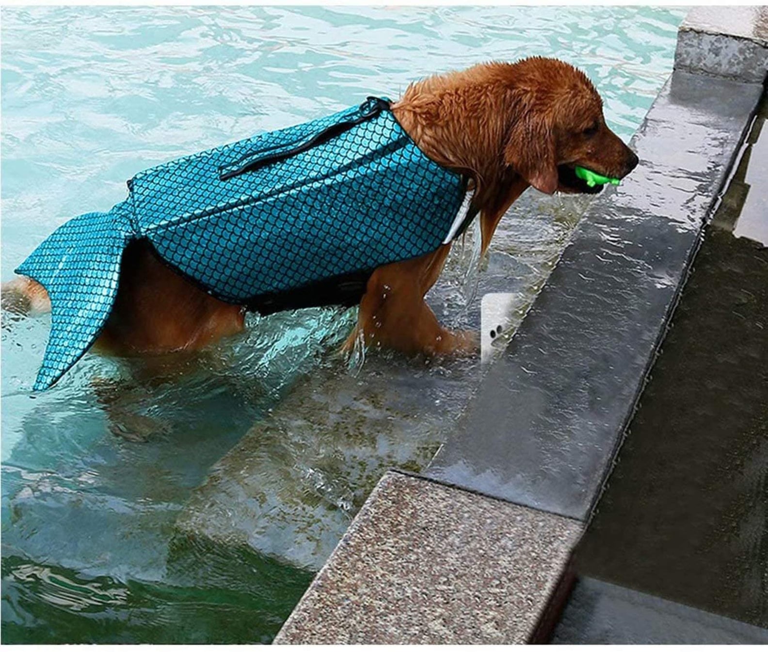 Shop These Mermaid Life Jackets For Dogs | PS Family